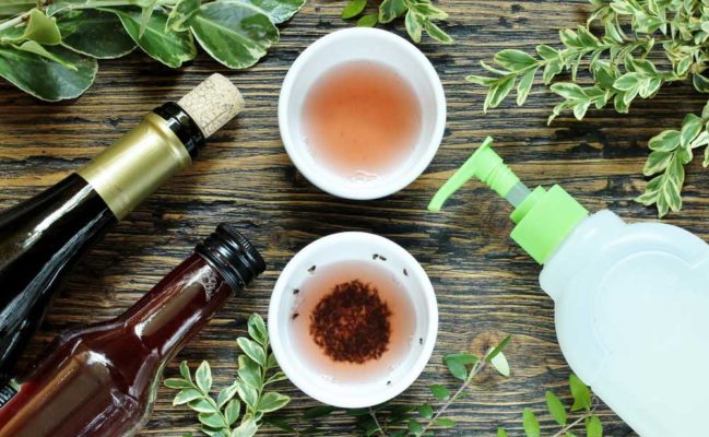 5 Ways to Get Rid of Gnats in a Garbage Disposal - Shiny Modern