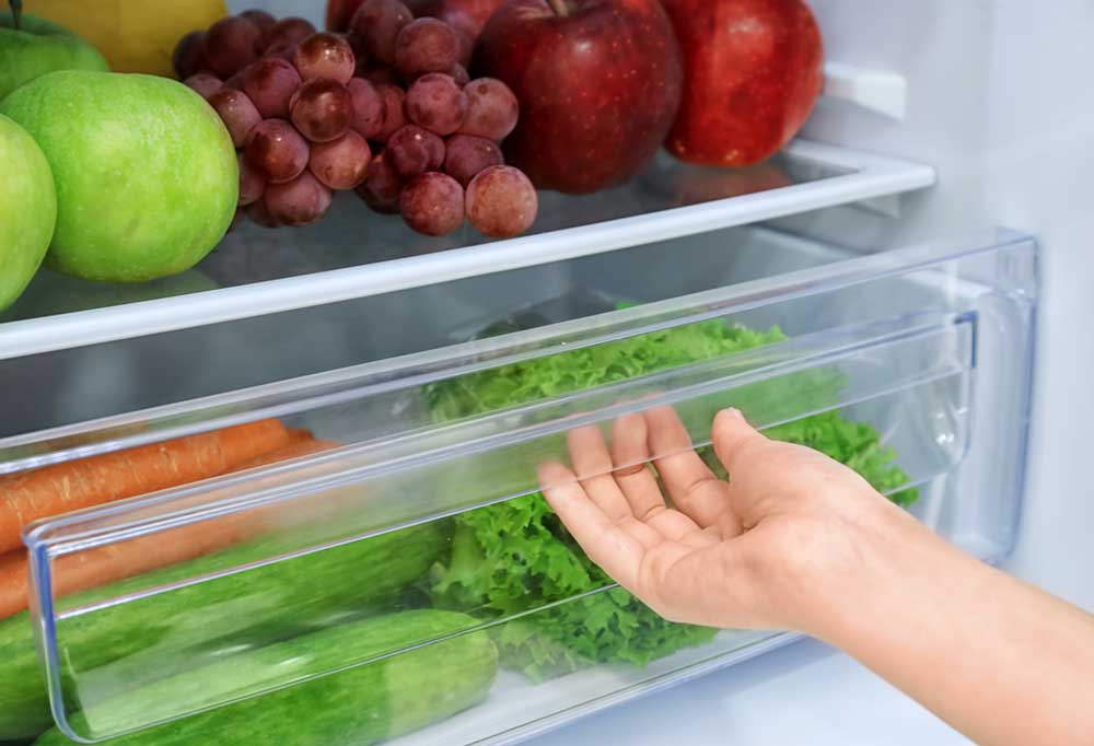 How to Control Humidity in a Refrigerator - Shiny Modern