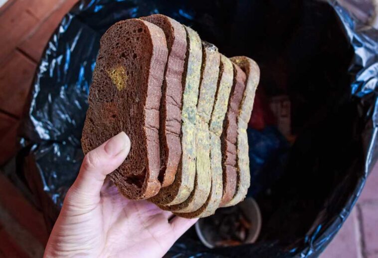 Can You Put Bread in a Garbage Disposal - Shiny Modern