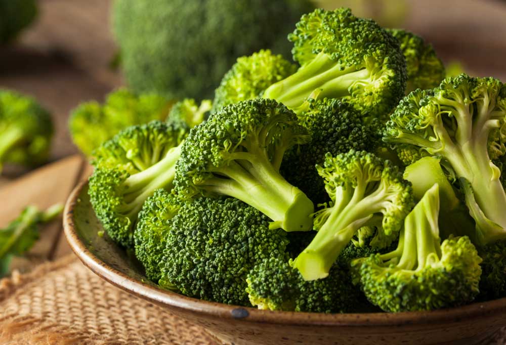 Can You Put Broccoli in a Garbage Disposal - Shiny Modern