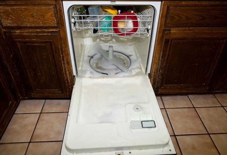How to Clean the Bottom of the Dishwasher? - Shiny Modern